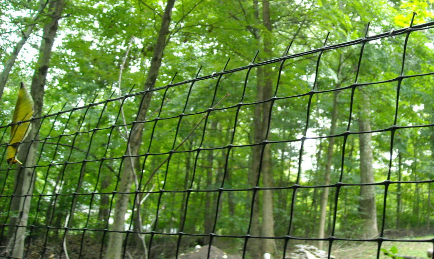 Plasa de plastic pentru voliera